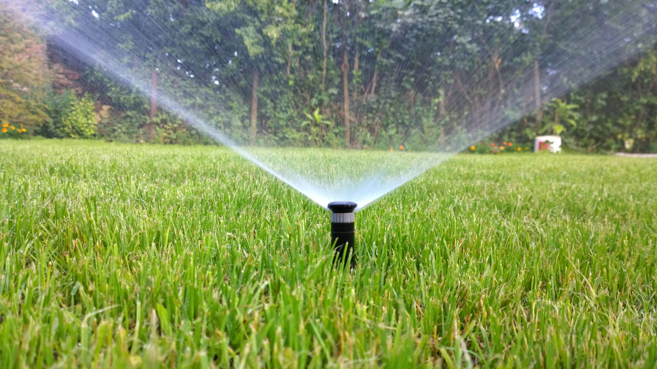 Sustainable Irrigation Systems: What You Need To Know