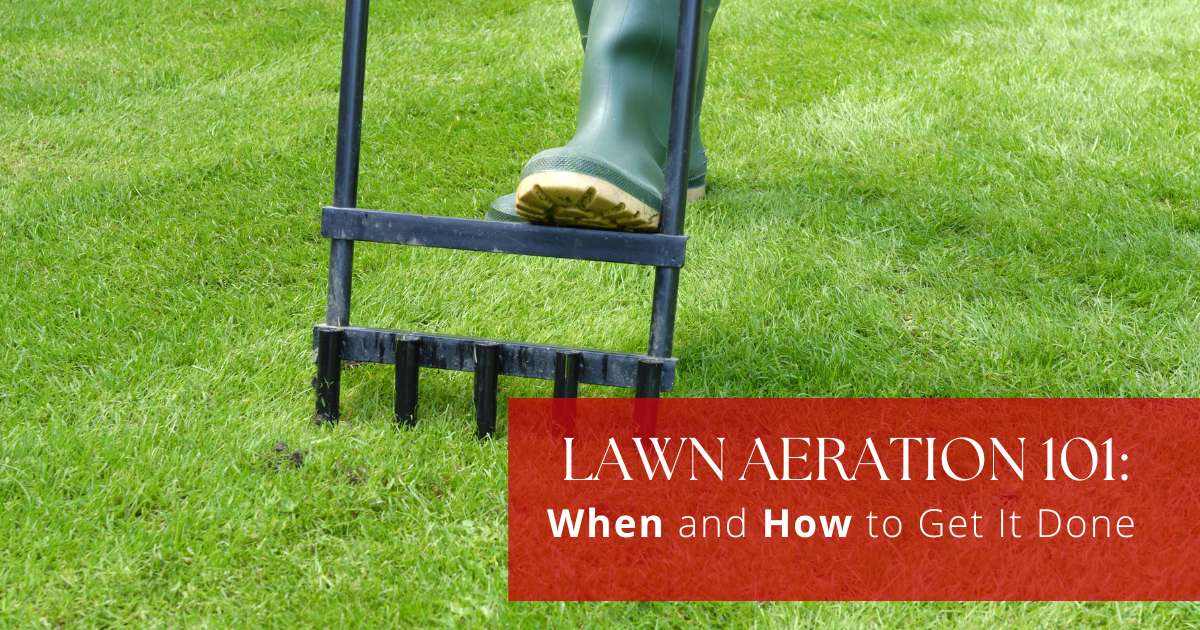 Lawn Aeration 101: When and How to Get It Done - Irrigation ...